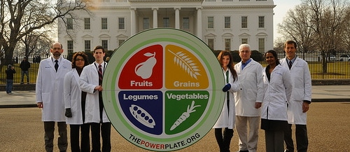 Various Dietary Guideline Graphics | NutritionFacts.org