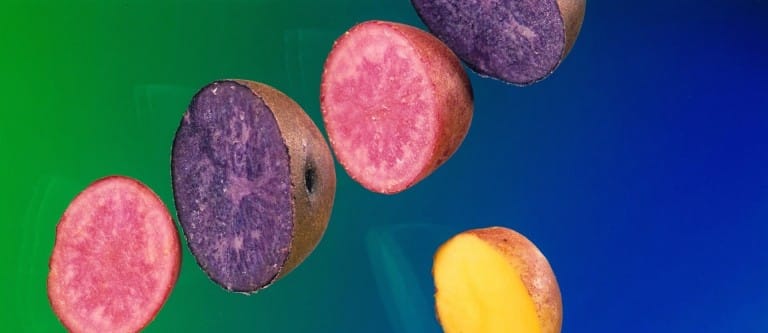 The Strongest Anti-Inflammatory Foods