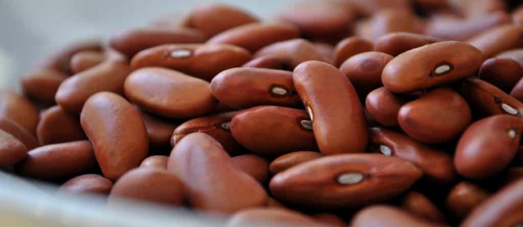 Beans Nutrition Facts | Why You Should Eat Them