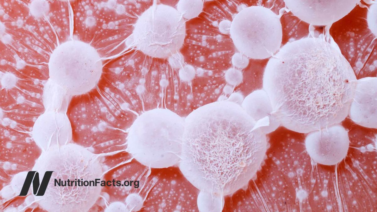 Putrefying Protein and “Toxifying” Enzymes | NutritionFacts.org