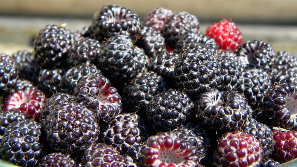 Berry Nutrition Facts: The Healthiest Fruit