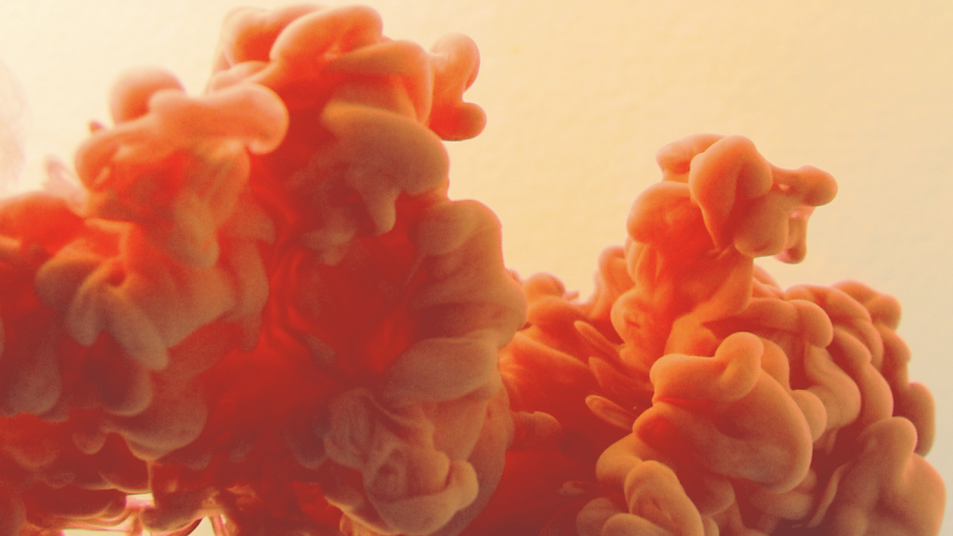 We Are Human-Microbe Superorganisms