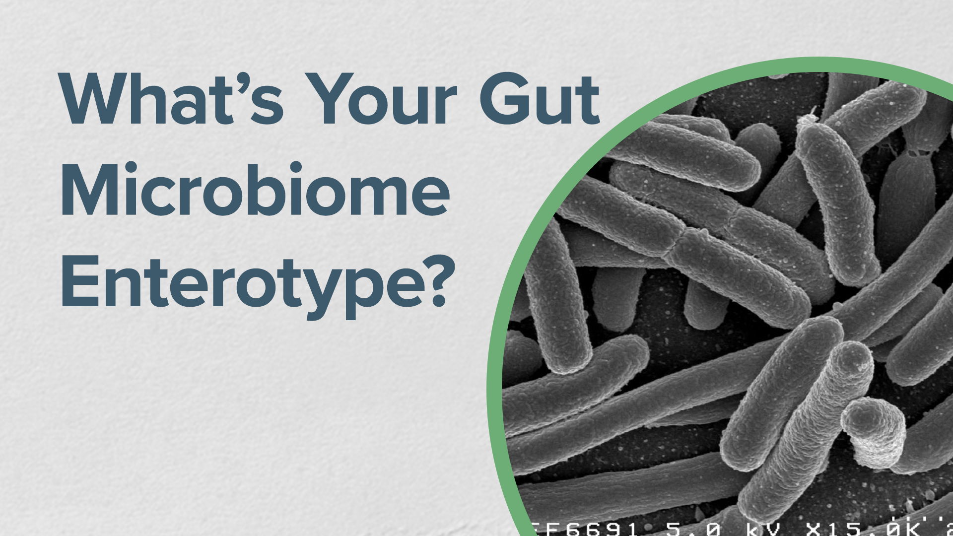 What's Your Enterotype (Gut Microbiome Classification)?