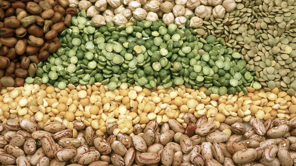 Beans Nutrition Facts | Why You Should Eat Them