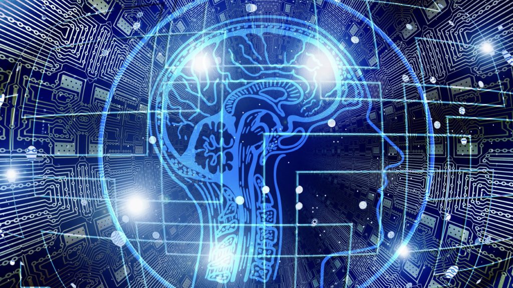 Do DHA Supplements Improve Brain Function?