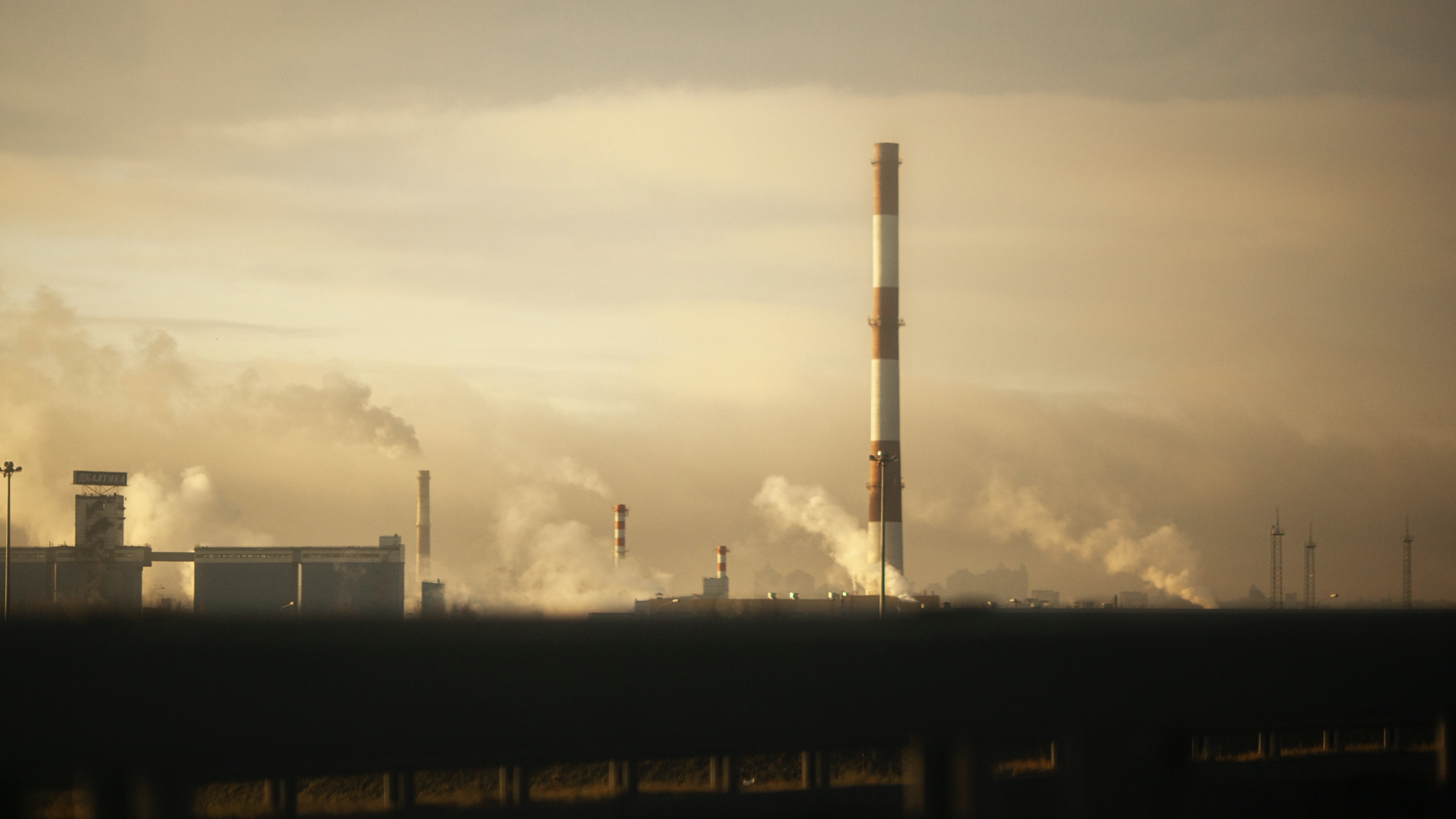 Factory Pollution Effects