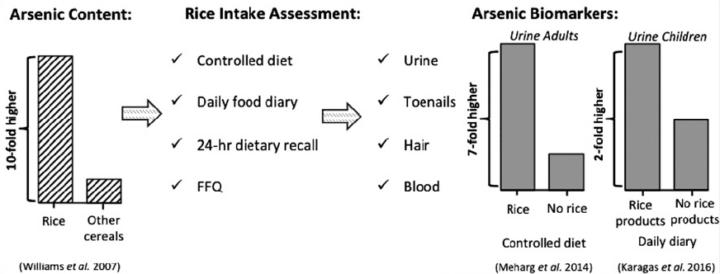 Is There Arsenic in Rice? How Much Rice Is Too Much?