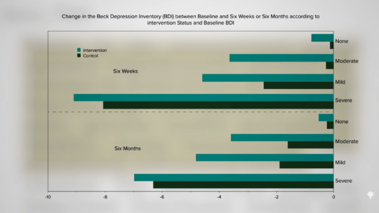 Pivio: The Complete Health Improvement Program