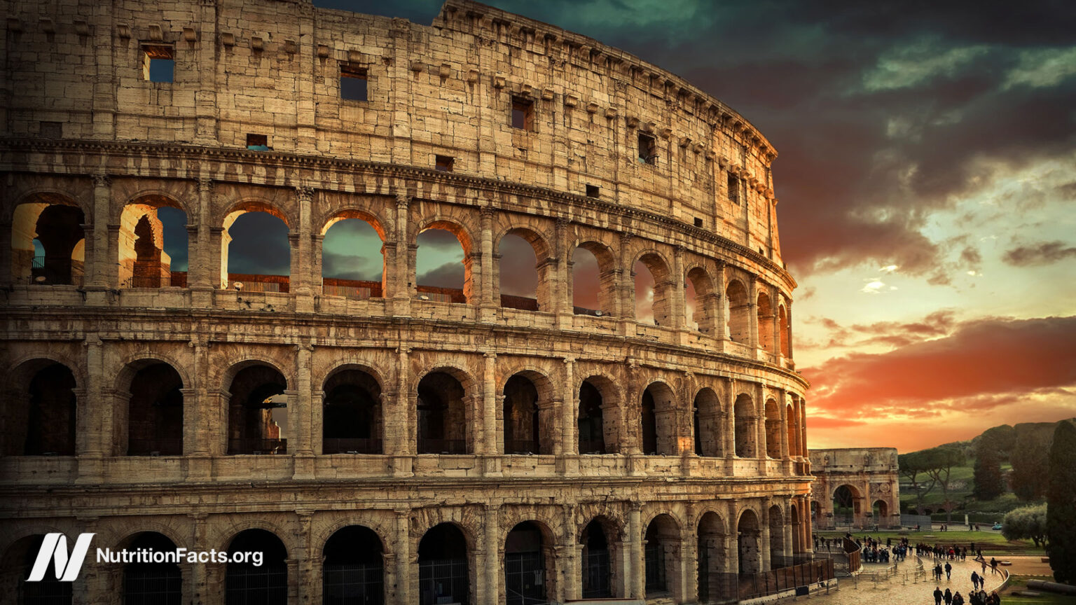 The Gladiator Diet and How Vegetarian Athletes Stack Up