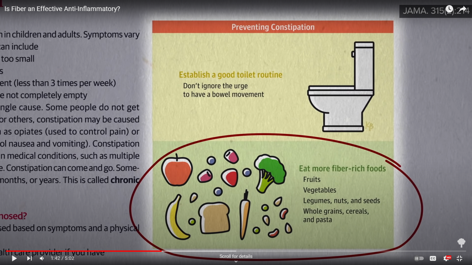 Fiber: An Effective Anti-Inflammatory?
