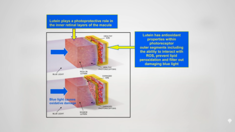 What Is the Best Way to Cook Vegetables?