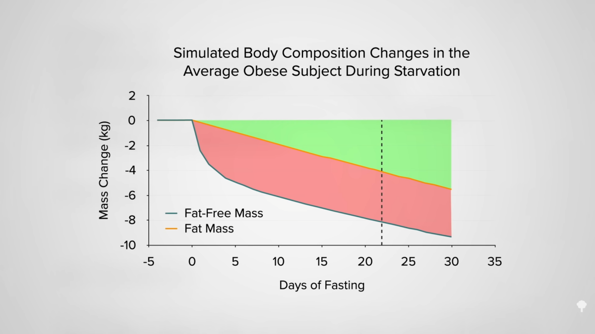 The Safety of Fasting to Lose Weight