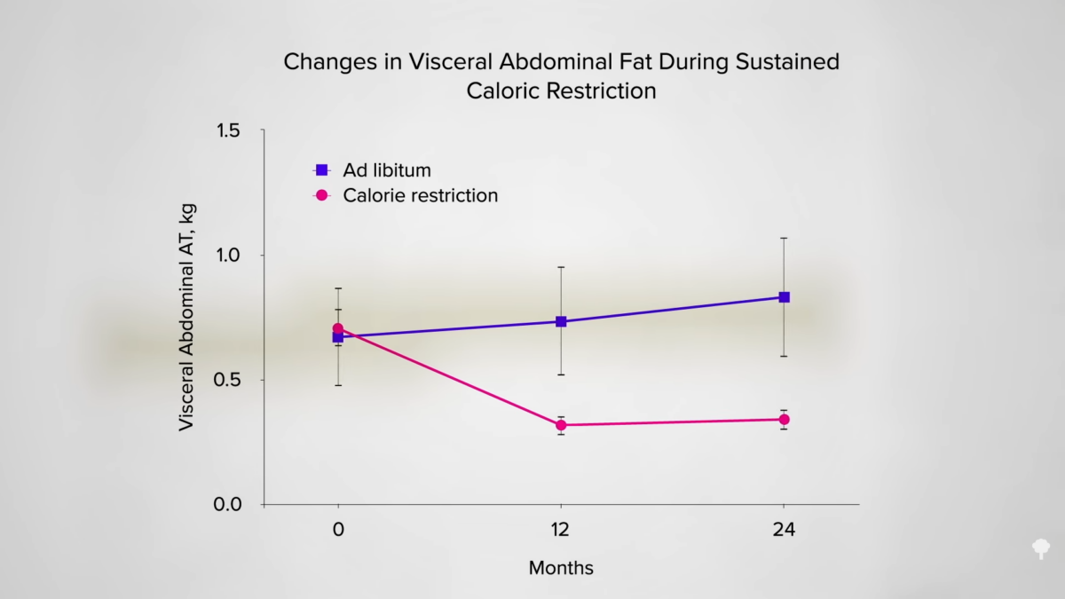 Restricting Calories for Longevity?