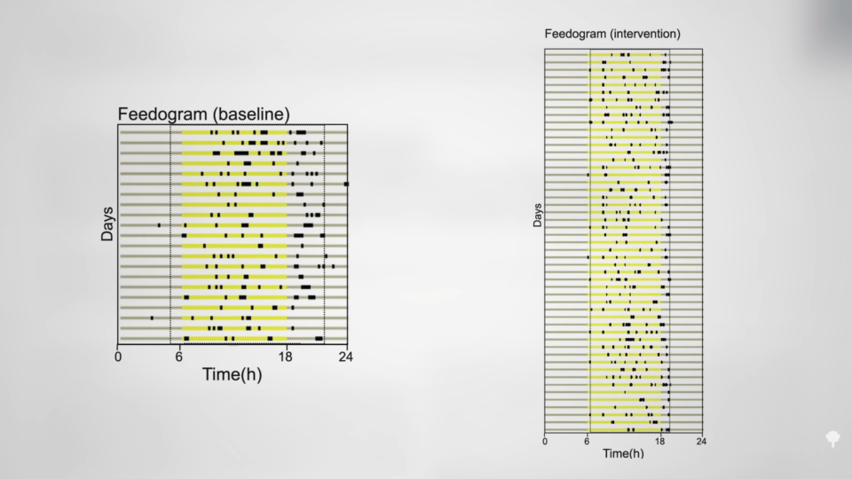 The Pros of Early Time-Restricted Eating