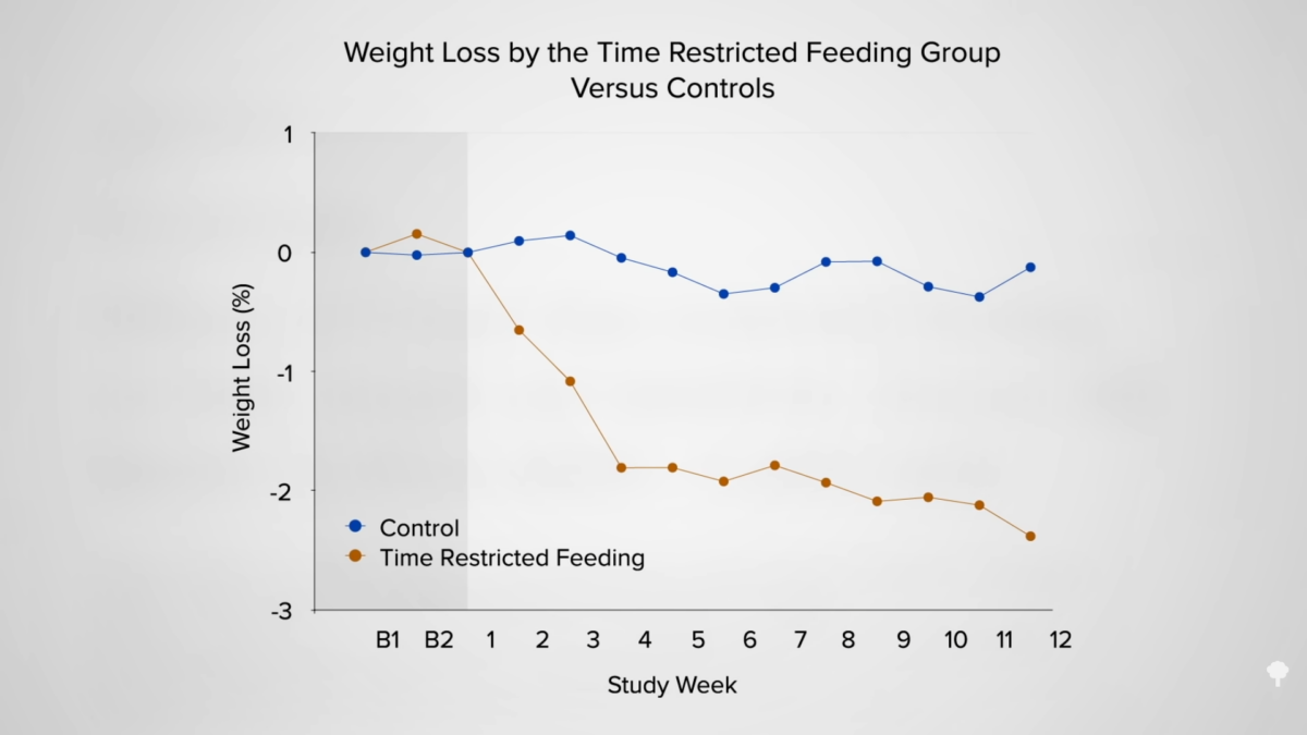 What the Science Says About Time-Restricted Eating