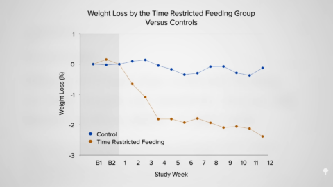 What the Science Says About Time-Restricted Eating