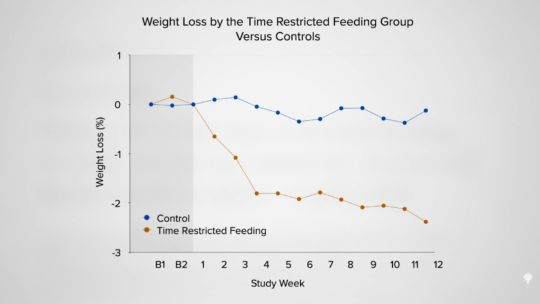 What the Science Says About Time-Restricted Eating