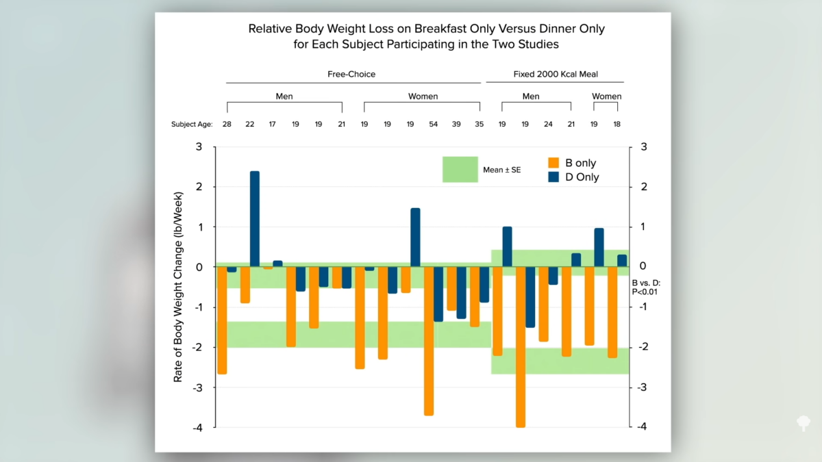 Lose Weight by Eating More in the Morning