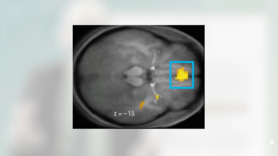 Cutting the Calorie-Rich-And-Processed Foods