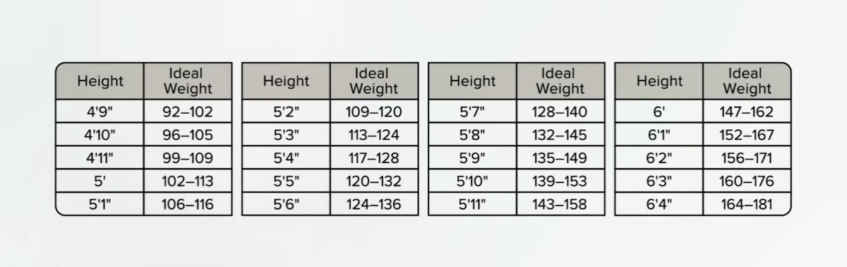 An Ideal Waist Size