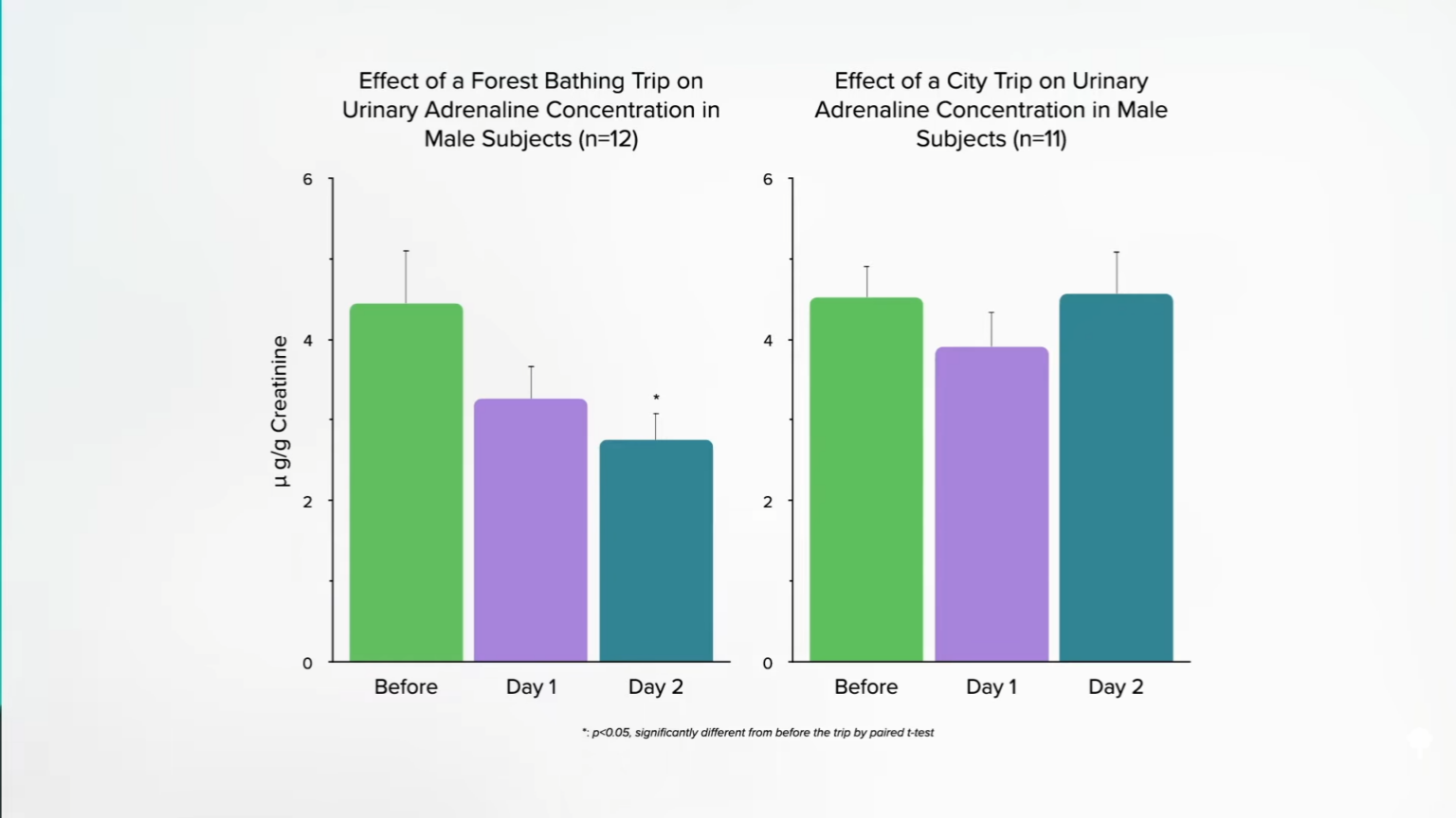 How Is Natural Killer Cell Function Boosted by Forest Bathing?
