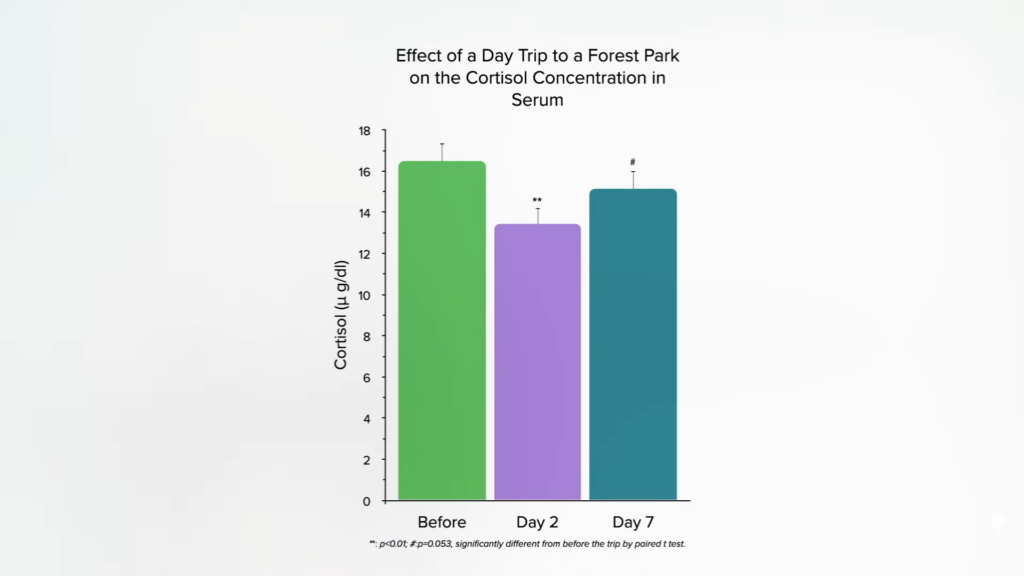 How Is Natural Killer Cell Function Boosted By Forest Bathing