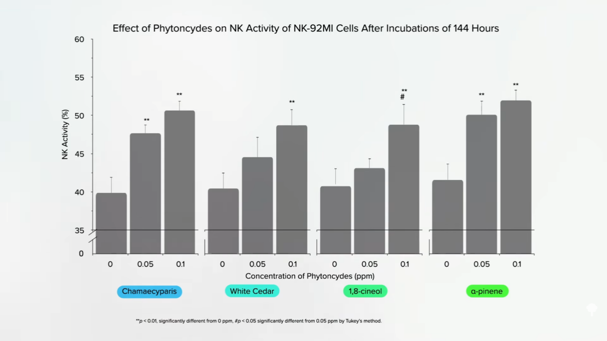 How Is Natural Killer Cell Function Boosted By Forest Bathing