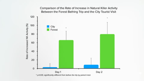 Forest Bathing to Boost Anticancer Immunity